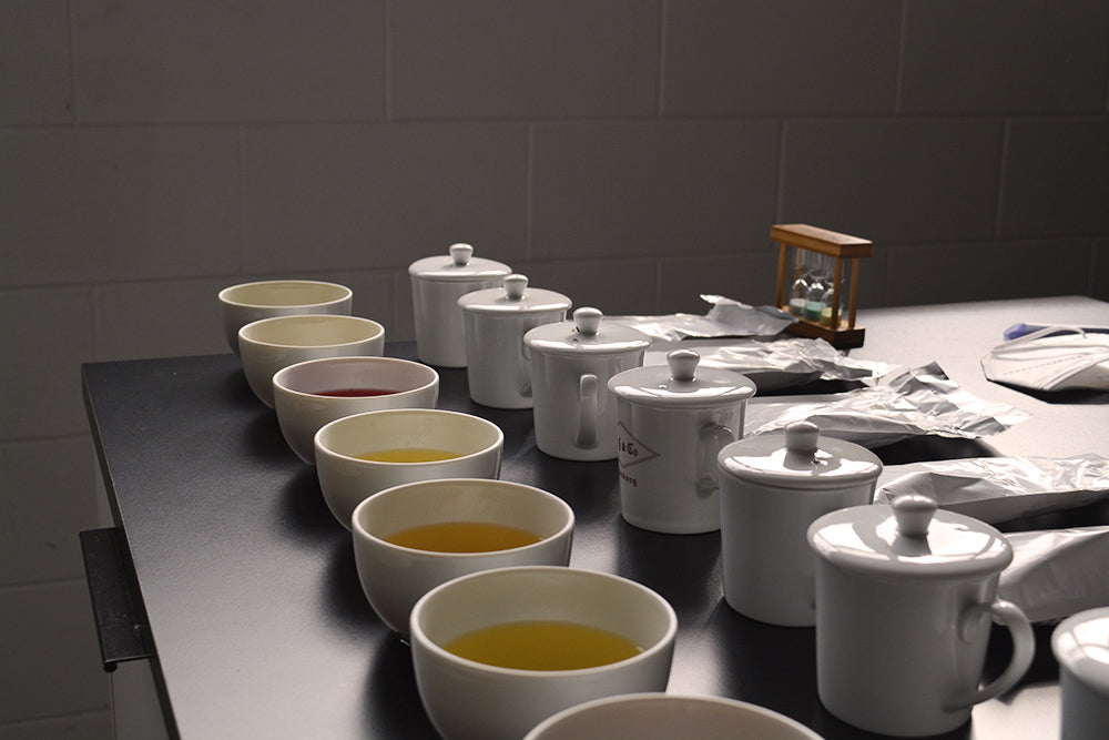 What is a True Tea? – Tea Total