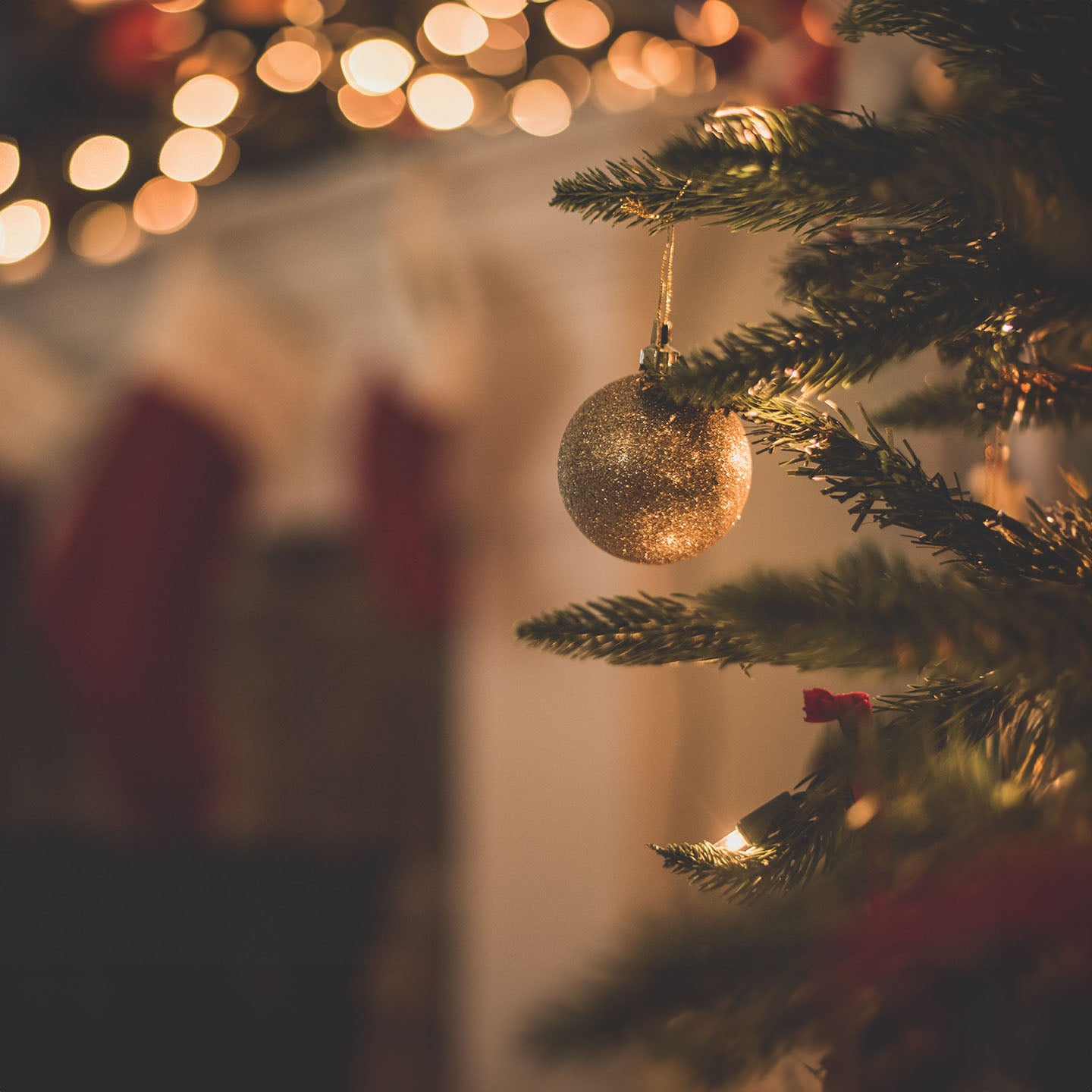 Tea Total NZ | Premium Ethically Sourced Tea | Retail & B2B